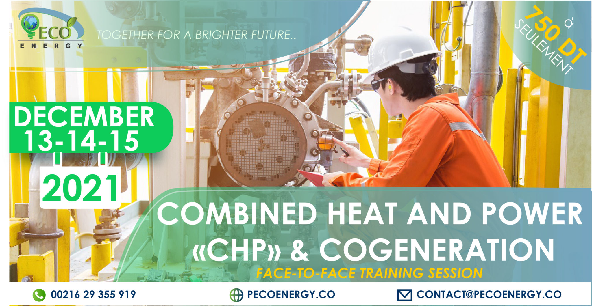 Programme de formation : Combined Heat and Power, CHP & Cogeneration | Formation Energétique en ...